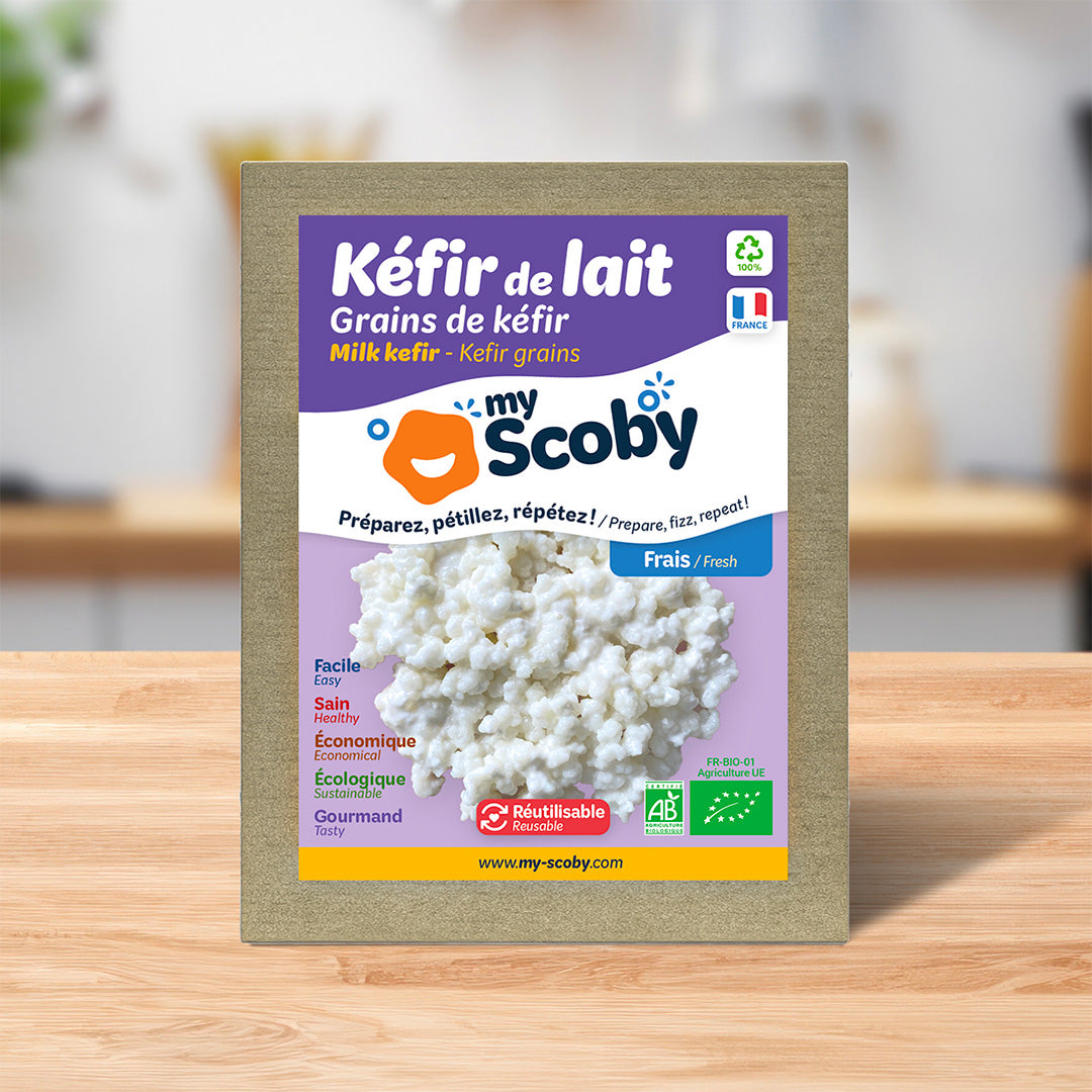 My Scoby - Kéfir et kombucha à faire soi-même