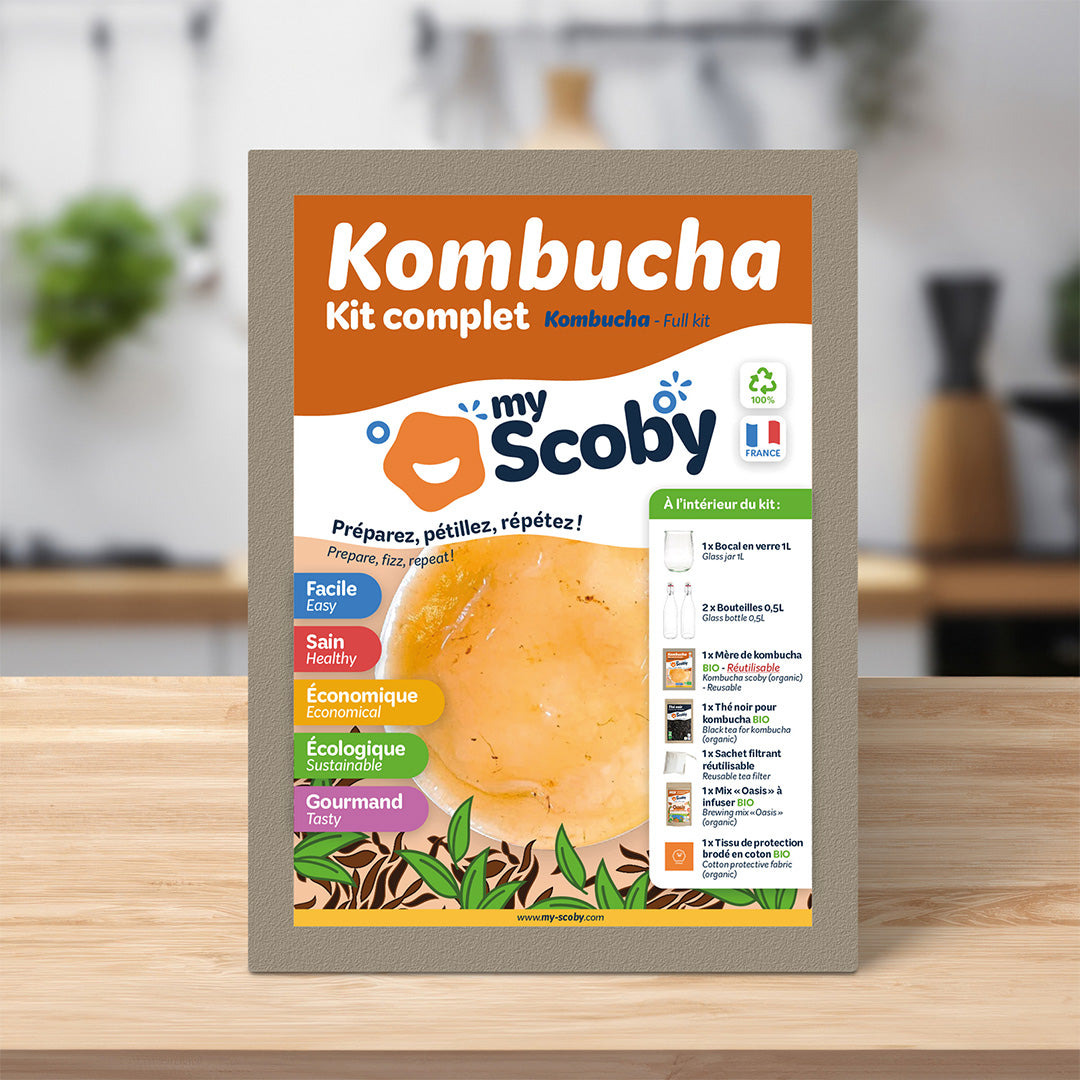 On vend des mères de kombucha... et on a testé le Ciao Kombucha ! 🙌 ...